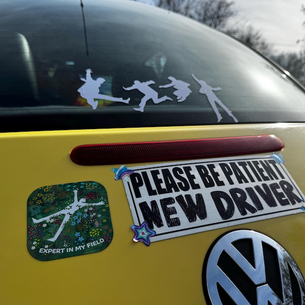 Expert in My Field Stickers & Magnet - Etsy