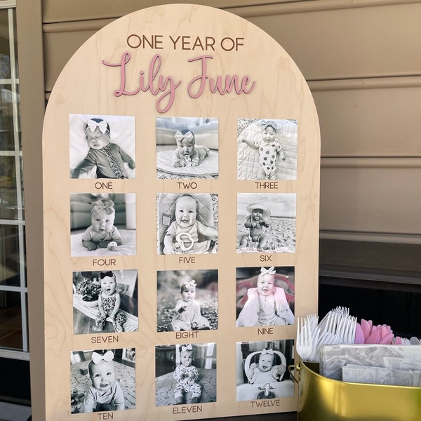 My First Year Board, One Year Photo Board, My First Year Photo Display ...