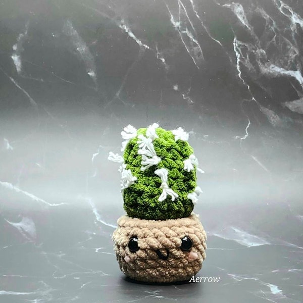 No Sew Cactus Pop-up Crochet Pattern Amigurumi Plant Pattern - Etsy