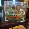 JC Decorated Hexagon Enclosures - Etsy