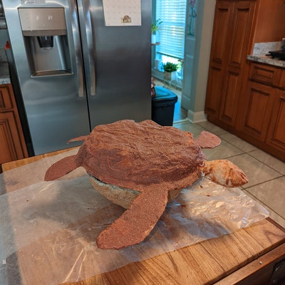How to Make a 3D Papier Mache Green Sea Turtle - Etsy