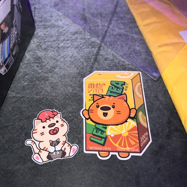 Funny Math Meme Cat Vinyl Sticker Women With Math Meme, Intense ...