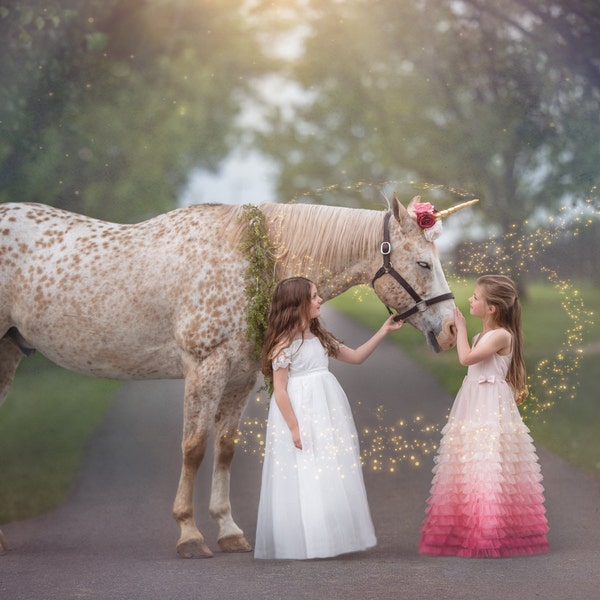 25 Magic Shine Fairy Effects, Photoshop Overlays, Sparkle Stardust ...