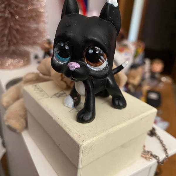 LPS OOAK Custom Collie/cat/dog Littlest Pet Shop Hand Painted (pick ...