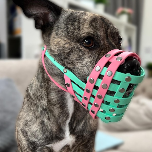 Custom Made to Measure Colourful Biothane Dog Muzzle - Ultra Adjustable ...