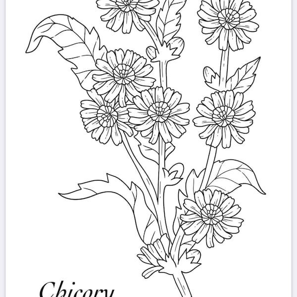 Cute and Cozy Friends, Coloring Sheets, Coloring Pages, Instant ...