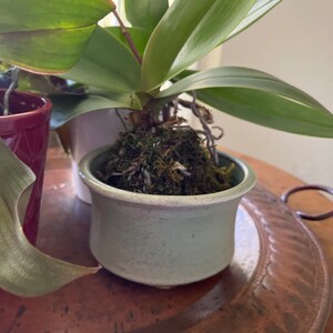 Casserole / Shallow Baking Dish With Handles, 2 Quart Wood Fired ...