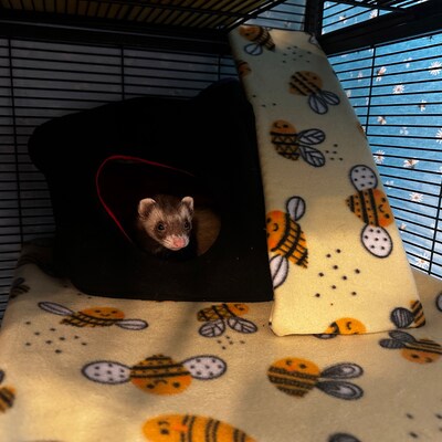 Large Fleece Coffin Bed, Drac Inspired Design, Halloween Pet Bed, Cat ...