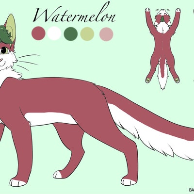 Cat Reference Sheet, Base, Lineart, Warrior Cats, Ocs - Etsy