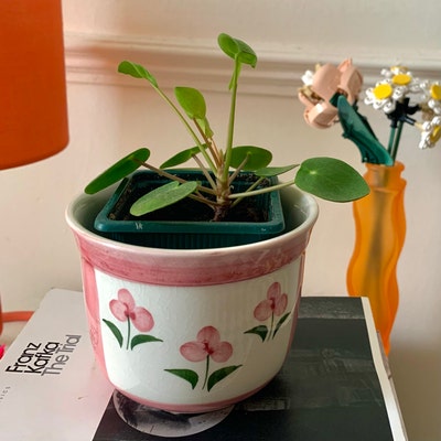 1950s Scribbans Kemp Still Life Biscuit Tin - Etsy