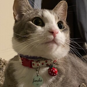 Pink Roses Cat Collar With Bell Cat Breakaway Collar Custom - Etsy