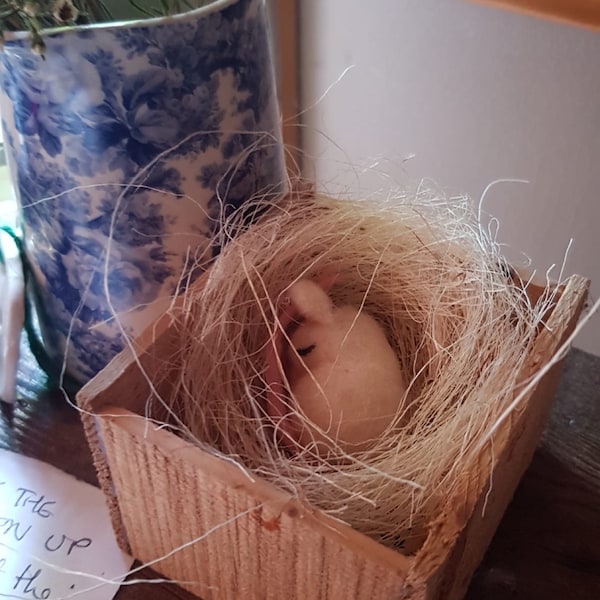 Sleepy Mouse in Walnut Shell Baby Mouse Felted Mouse Fridge Magnet ...