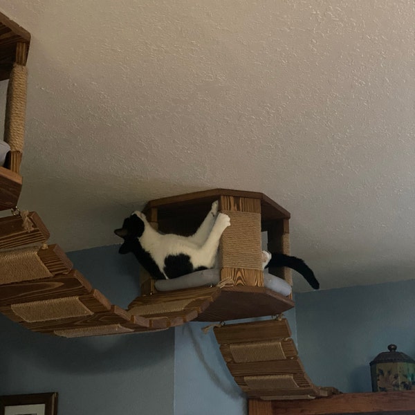 Ceiling Cat Furniture Playground Wood Cat Furniture Set of 4 Houses and ...