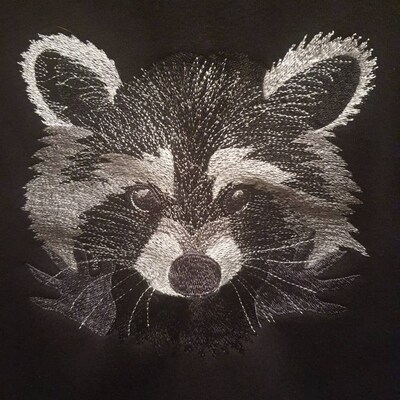 Raccoon Machine Embroidery Design Cute Raccoon Embroidery Files 5 Sizes ...