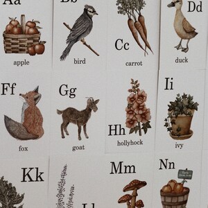 Nature Alphabet Flashcards / Watercolor Alphabet Cards / | Etsy Canada
