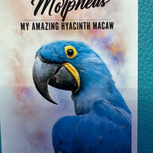 Warning Macaw Sign Parrot Warning Sign Macaw Parrot Sign - Etsy