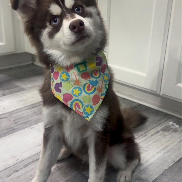 Sienna Bandana, Dog Bandana, Fall Dog Bandana, Over the Collar Dog ...