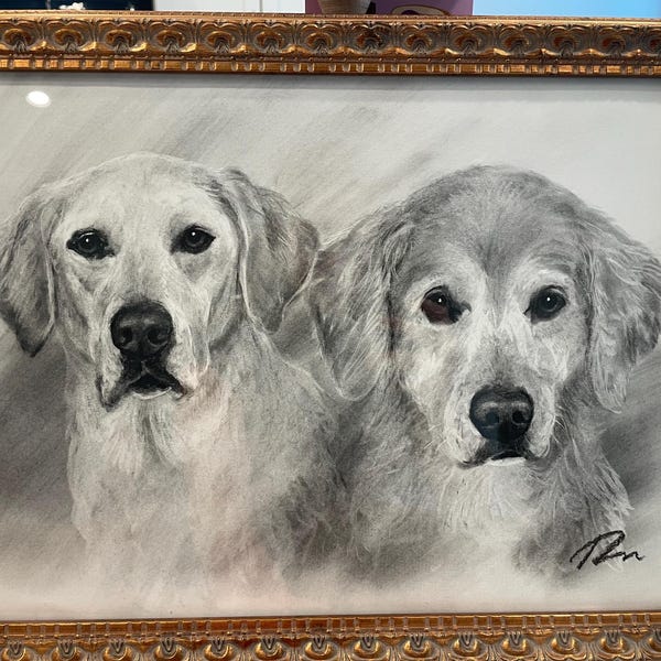 Pet Portrait Custom Charcoal | Pet Loss Gift | Dog Portrait Charcoal ...