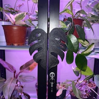 Plant Trellis Cebu Blue Pothos Plant Art Plant Decor - Etsy Canada