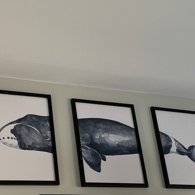 Right Whale Right Whale Art Right Whale Print Whale Poster - Etsy