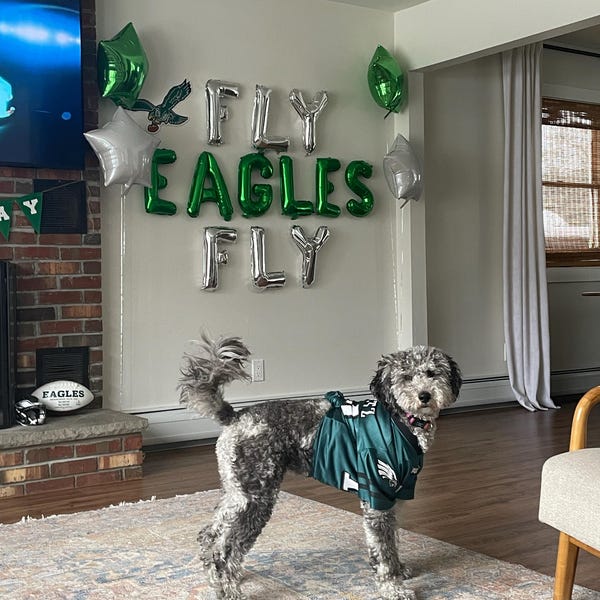 Go Team Banner | Custom Football Party NFL Party Decor 2025 Super Bowl ...