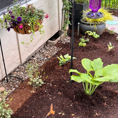 Butterfly Privacy Screen Panels Large Outdoor Metal Art 72x24 Self ...