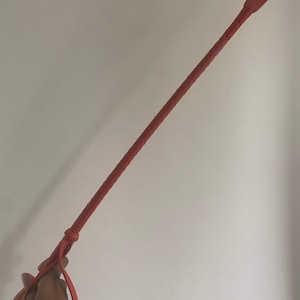 Gorgeous RED ROSE Leather Flogger Cat of 9 Tails | Etsy