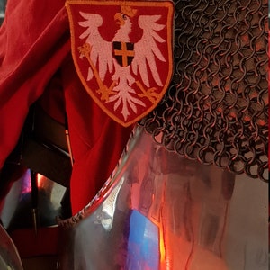 Witcher Inspired Bagde Crest Cosplay Larp Nilfgaard Temeria Redania ...