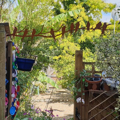 Rusty Garden/outdoor Bird Trellis Plant Support Measuring 139cm High ...