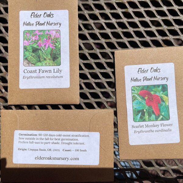 Checker/chocolate Lily (fritillaria Affinis) ~ 100 Seeds *pacific ...