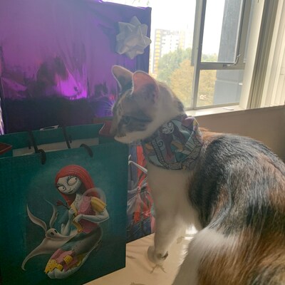 Skull Candle Occult Toad Raven Skull Skeleton Key Print Incense Bag ...