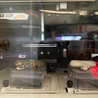 Customizable Ball Python Miniature / Figure / Sculpture / Necklace ...