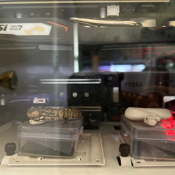 Customizable Ball Python Miniature / Figure / Sculpture / Necklace ...