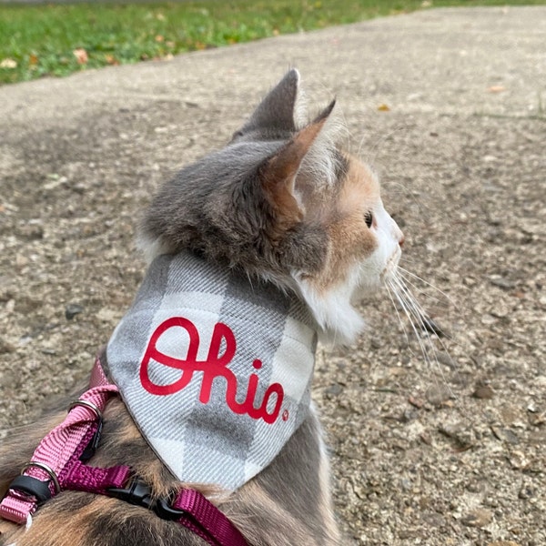 The Ohio State University Brutus Buckeye, Licensed, Over the Collar Dog ...