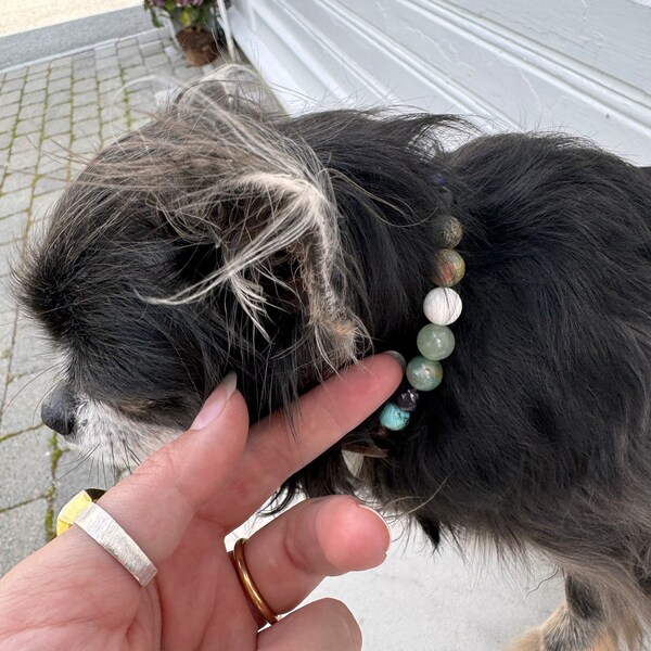 Collar Anti Tick and Fleas With Turquoise - Lithotherapy for Dogs - Etsy