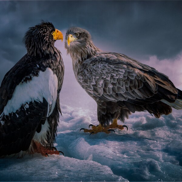 JD Texture Pack 3 Updated for 2022 - Etsy