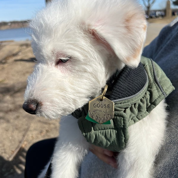 Goose Dog Tag, Dog Tags for Dogs, Pet Id Tag, Personalized, Custom ID ...