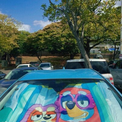Bluey Auto Sunshade Car, Cartoon Car Sunshade, Bluey Car Sunshade ...