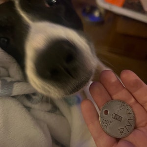 Dog Tag, Dog Tags for Dogs, Music Speaks, Notes on a Scale, Music Dog ...