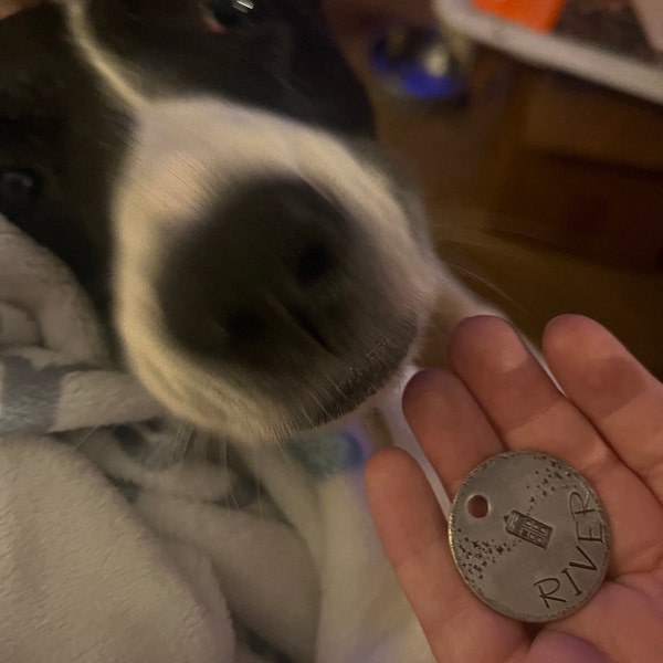 Dog Tag, Dog Tags for Dogs, Dog Tags, Pet Id Tag, the Tardis, Phone ...