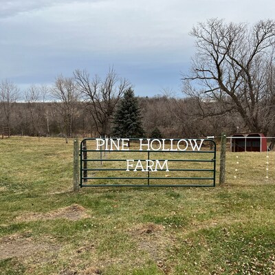 Custom Farm Gate Name Letters - Etsy