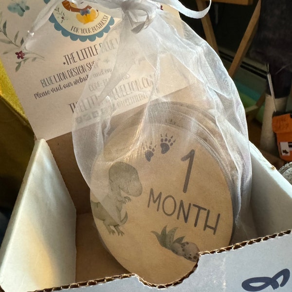 Dinosaur Milestone Cards, Baby Milestone Dinosaur Discs Marker, Wood ...