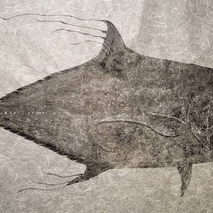 Unbleached Mulberry Paper Roll Korean Hanji Changhoji Fiber Strands ...