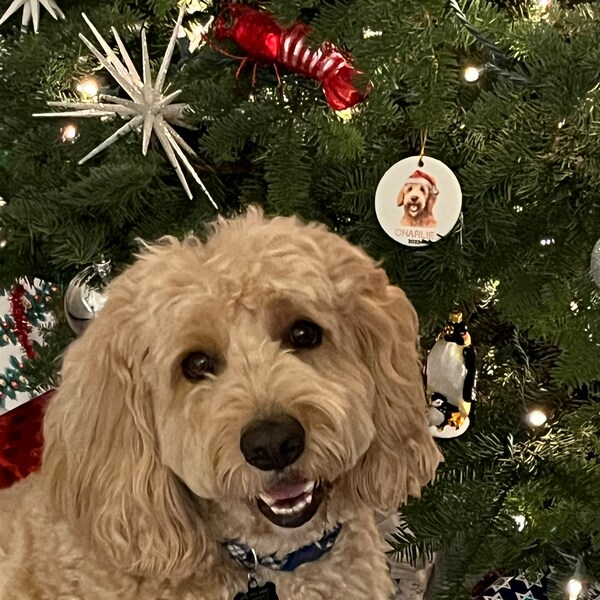Handmade Personalized Goldendoodle Ornament, Custom Labradoodle ...