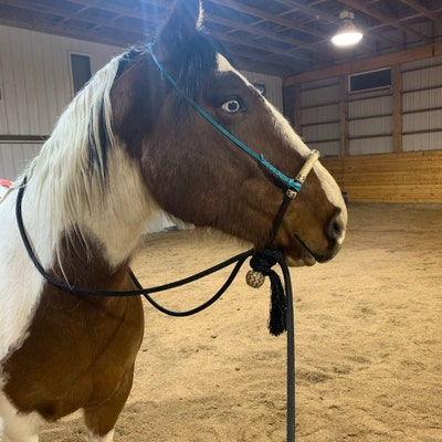 Handmade Bosal Set 40 Plaits Rawhide Natural Bosal Set Bosal - Etsy