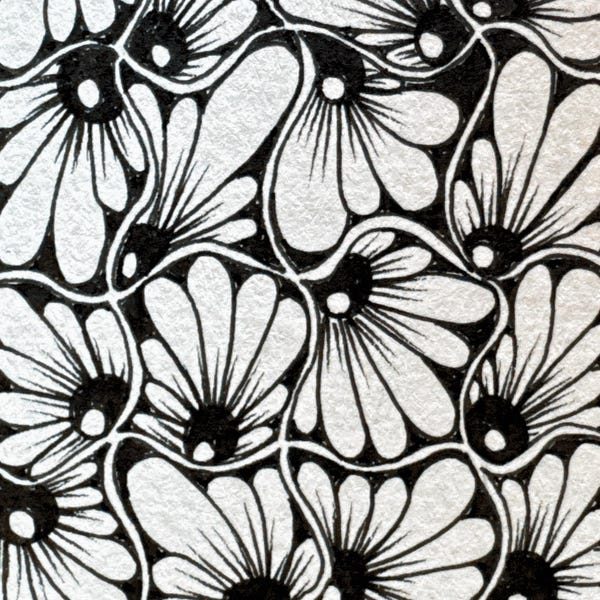 Blank Postcards - Etsy