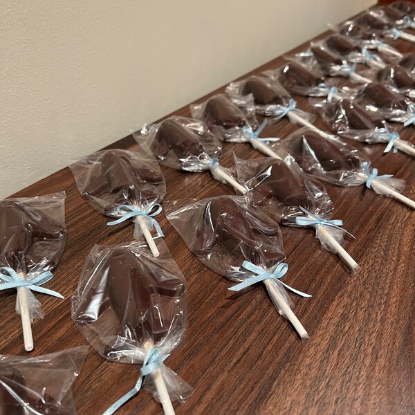 12 Chocolate Alligator Pops Alligator Candy Chocolate Alligator ...