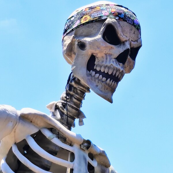 12 Ft Skeleton Pirate Costume!!!! (skelleton Not Included) - Etsy