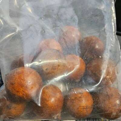 Iru/dry Iru/locust Beans - Etsy Canada