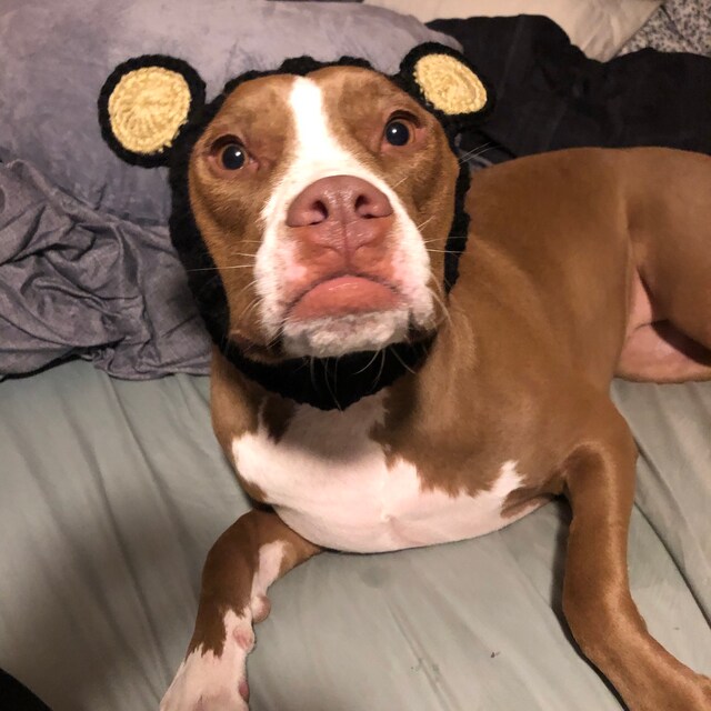 Zoo Snoods by ZooSnoods on Etsy